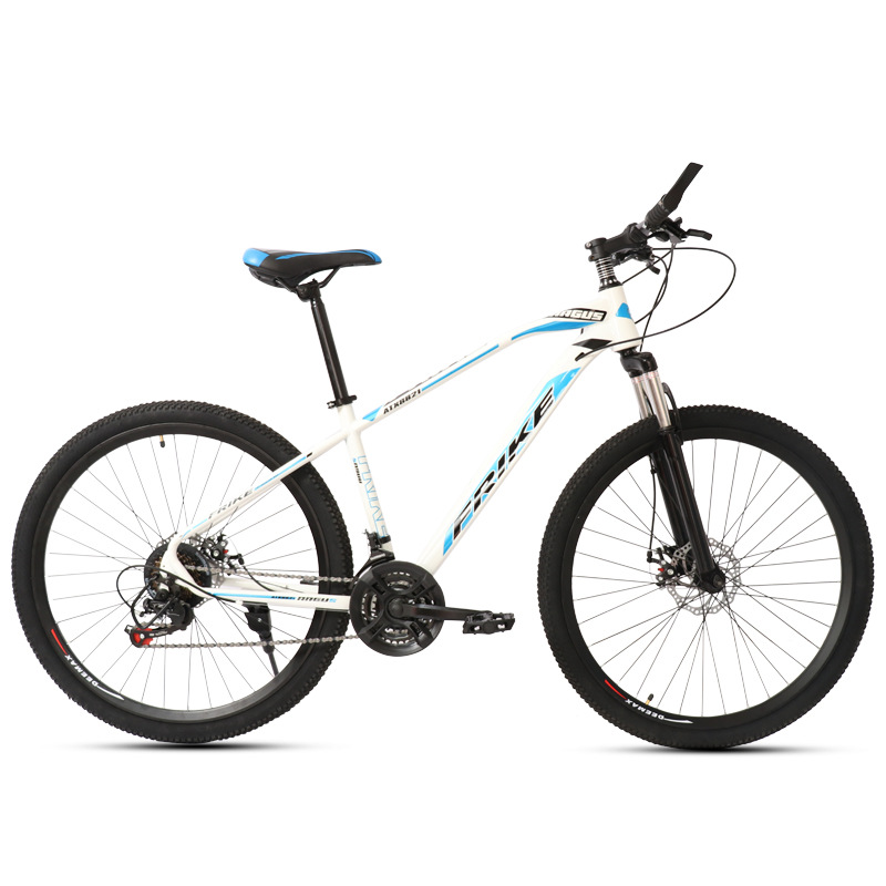 Mountain bike FRIKE Basic 24\" blue white - FRIKE