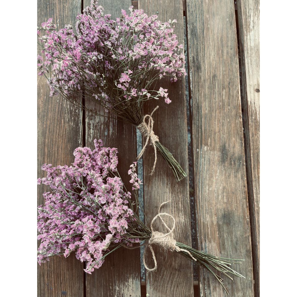 sušená japonská statice, statice do vázy, dekorace do interiéru, sušené ...